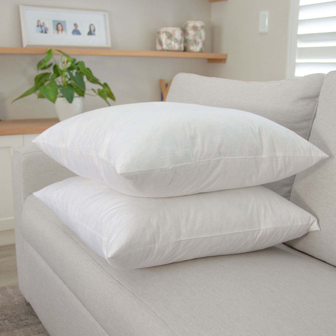 50x50cm Feather Cushion Inner - Pair – Feathers & Home